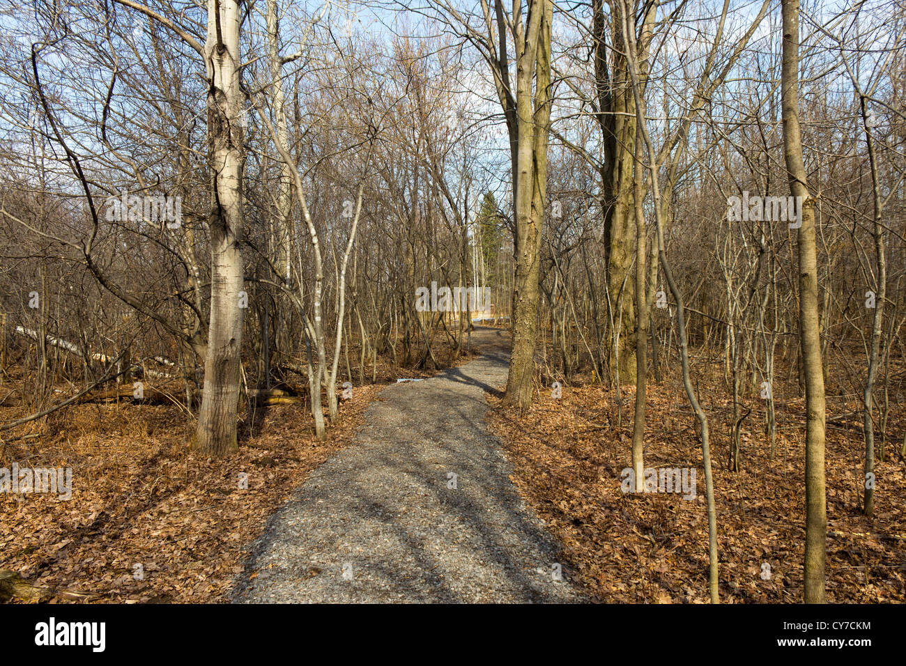 Nature trail in the park Stock Photo - Alamy