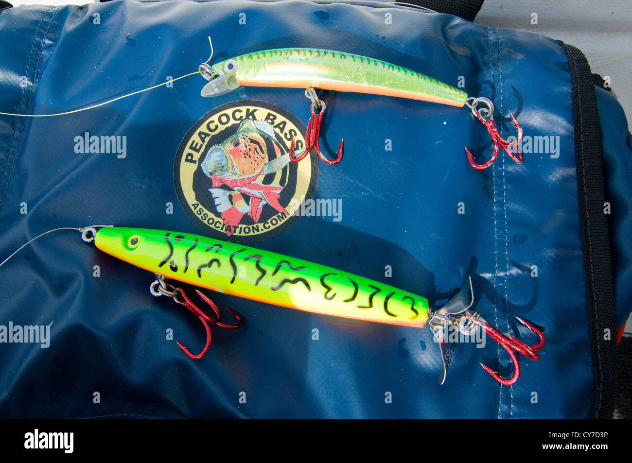 Here are a couple of lures that are ideal for catching a giant peacock ...