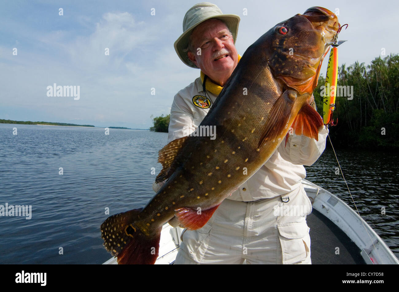 An Angler Admires A 15 Pound Peacock Bass Caught On A Topwater Plug From A Lagoon In Brazils