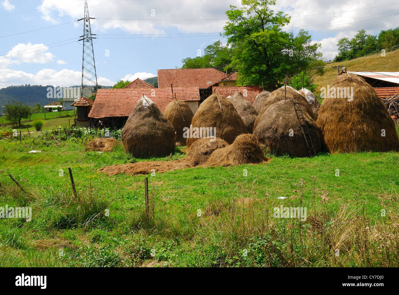 Guca hi-res stock photography and images - Alamy