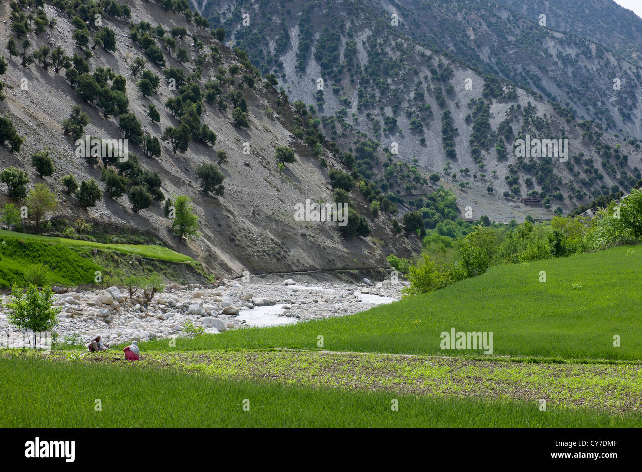 Chitral farm hi-res stock photography and images - Alamy