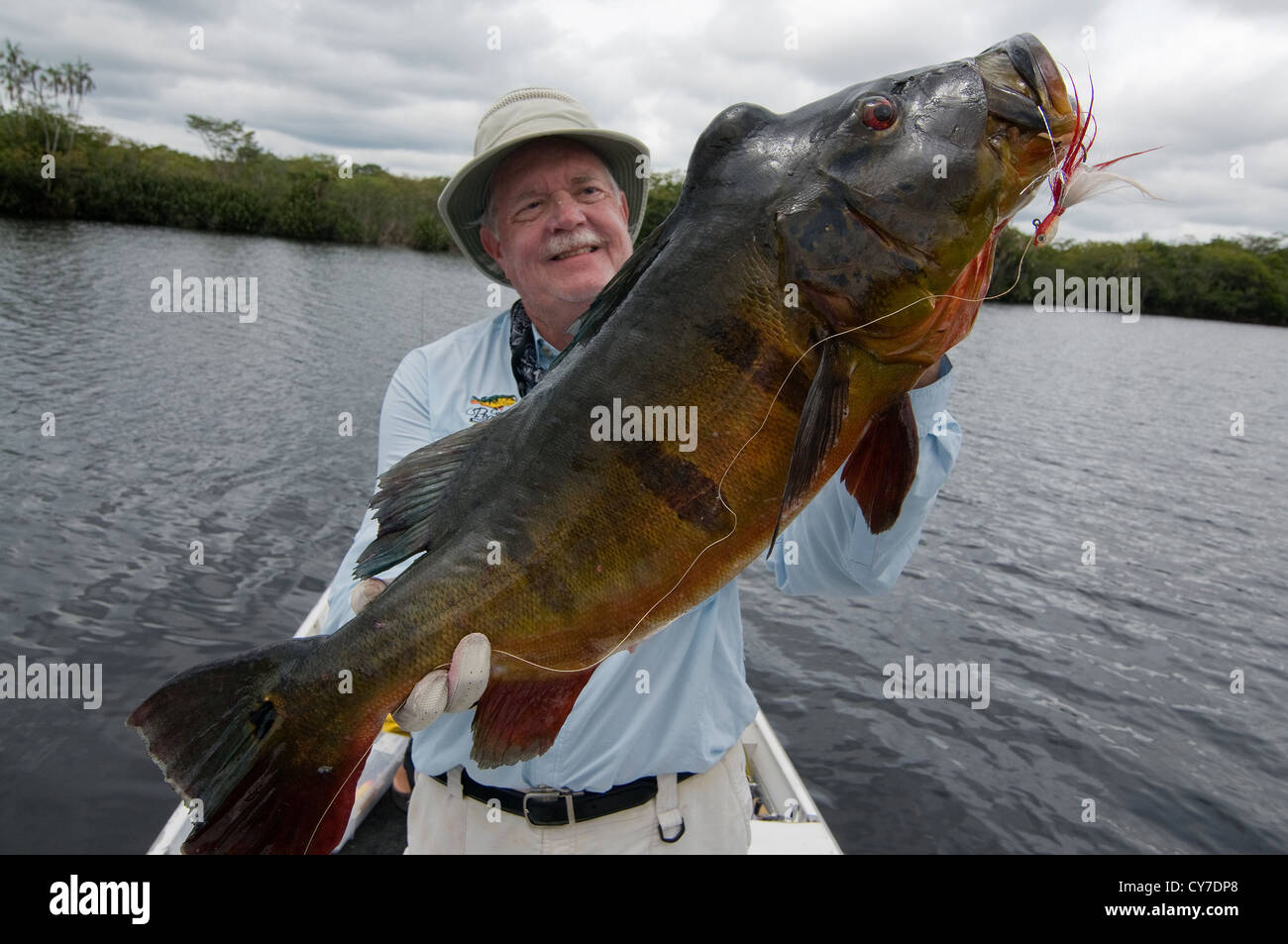 An angler admires a 22 1/2 pound peacock bass caught on a red & white ...