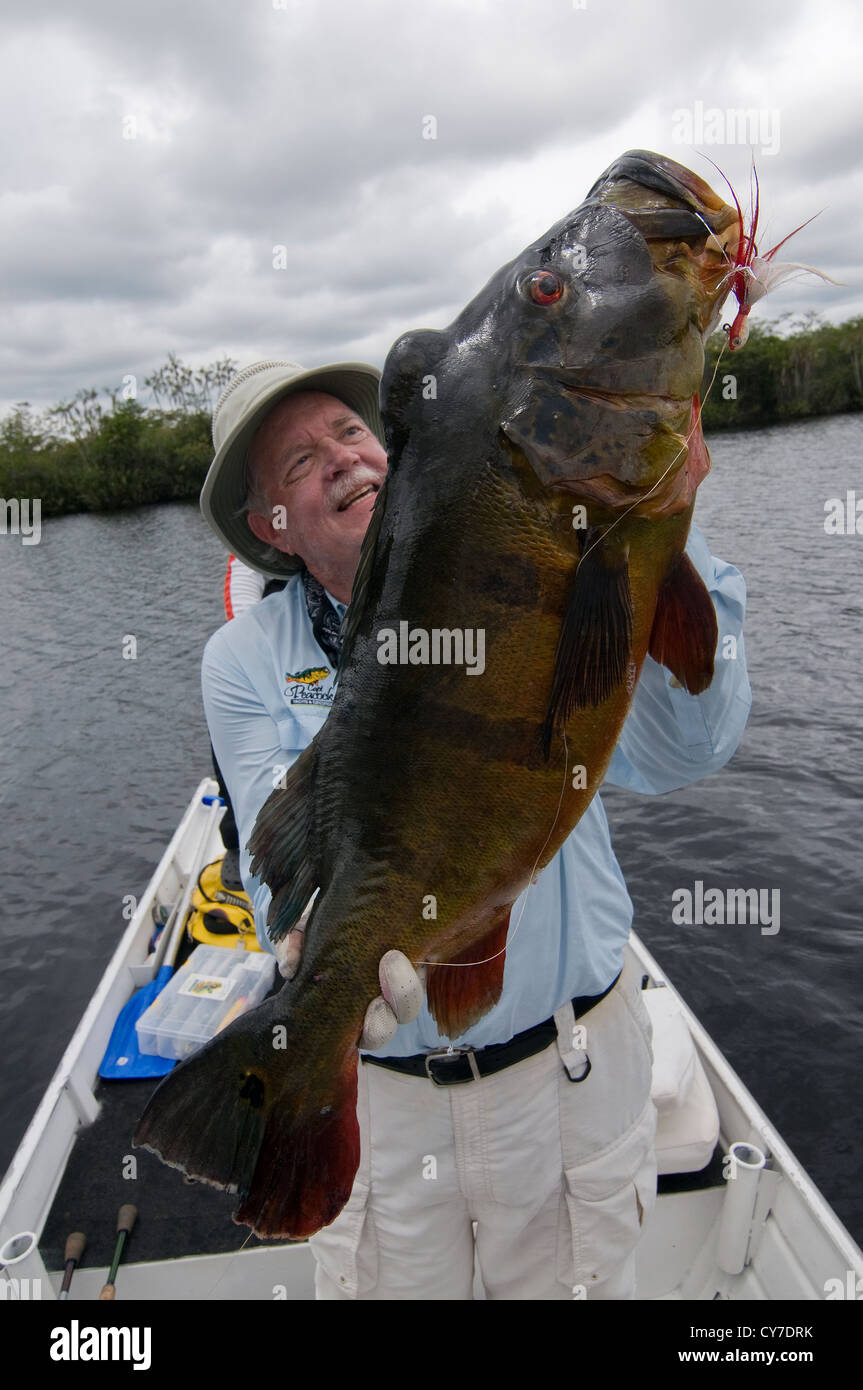 An angler admires a 22 1/2 pound peacock bass caught on a red & white ...