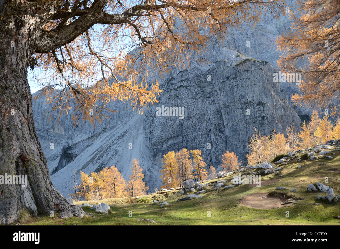 Sleme at Julian Alps, Slovenia Stock Photo - Alamy