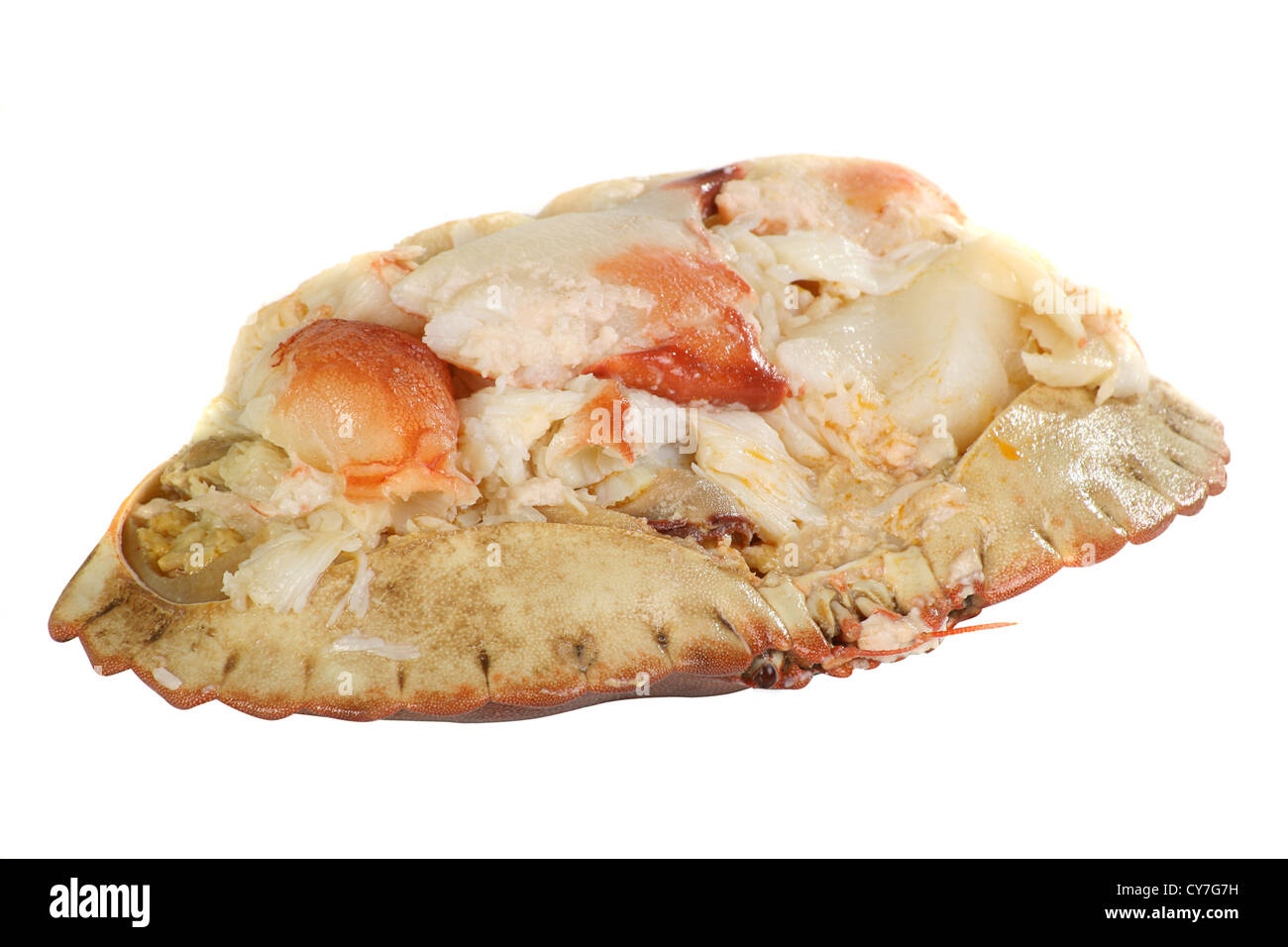 dressed crab in shell isolated on a white background Stock Photo - Alamy