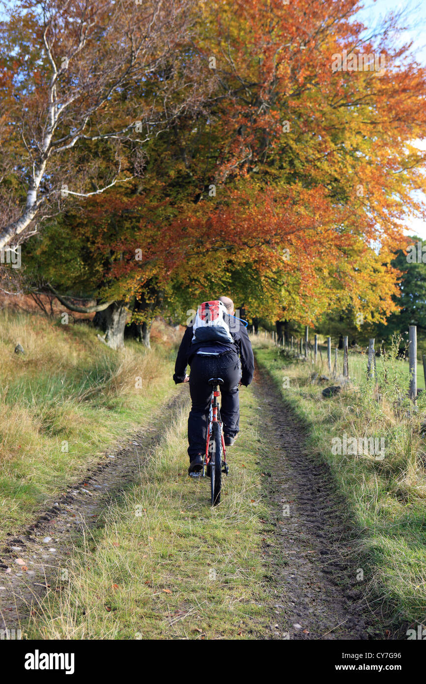 Perthshire countryside hi-res stock photography and images - Alamy
