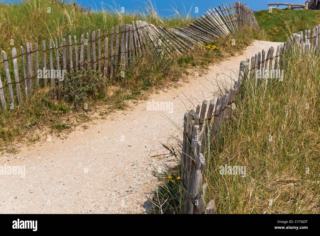 Sand footpath through dunes at the beach in Netherlands Stock Photo - Alamy