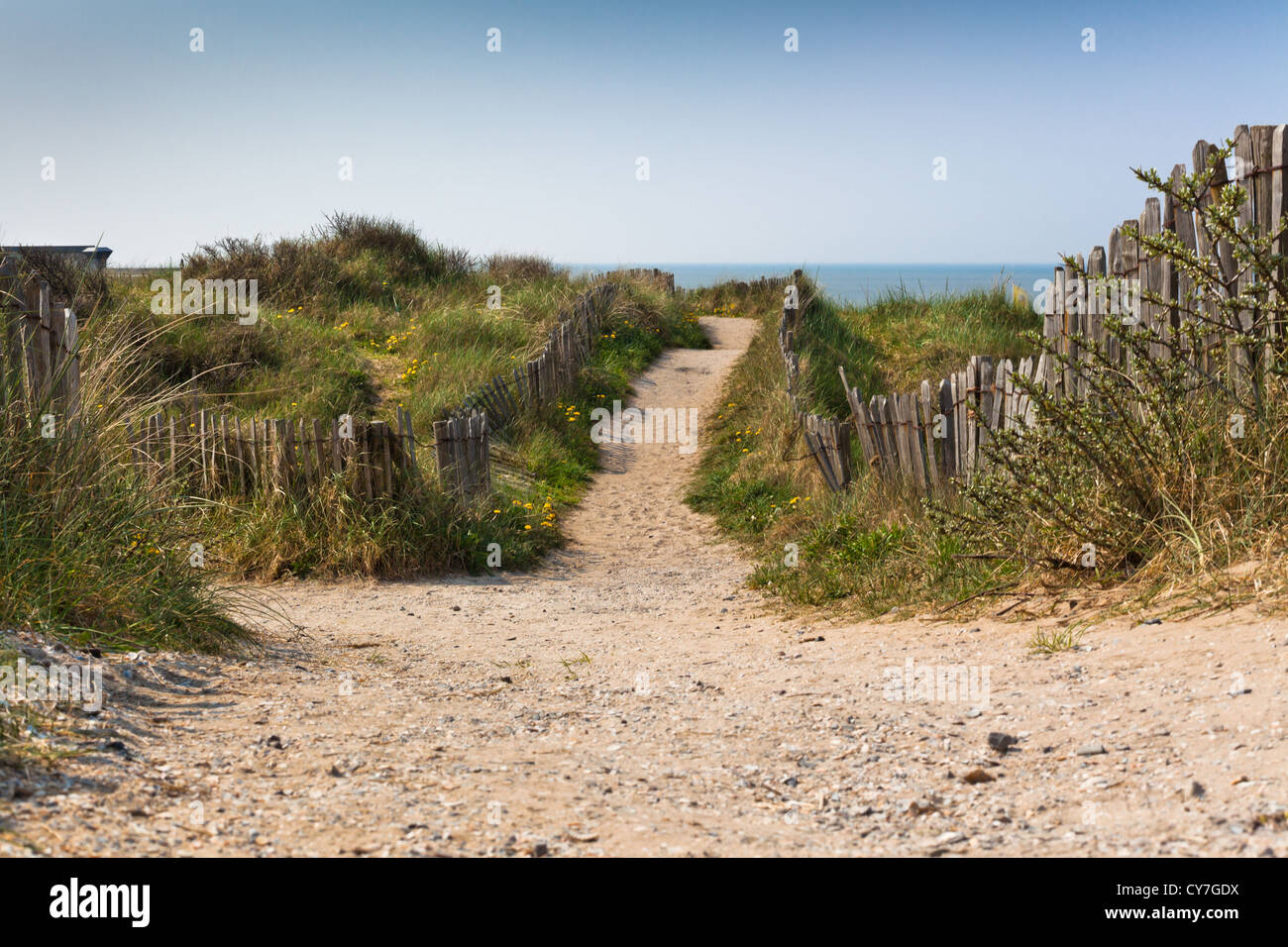 Sand footpath through dunes at the beach in Netherlands Stock Photo - Alamy