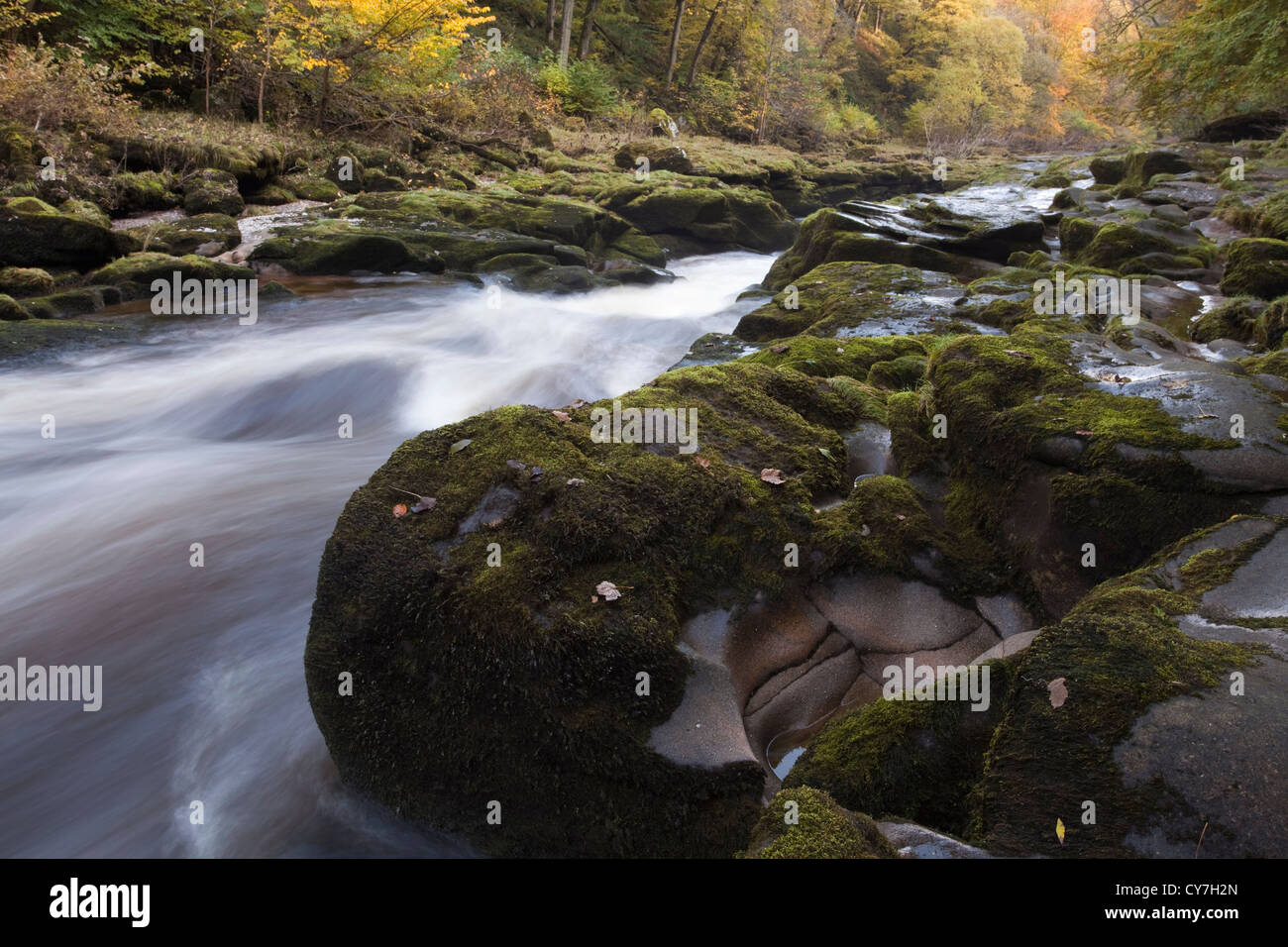 [river wharfe] wharfedale [yorkshire hi-res stock photography and ...