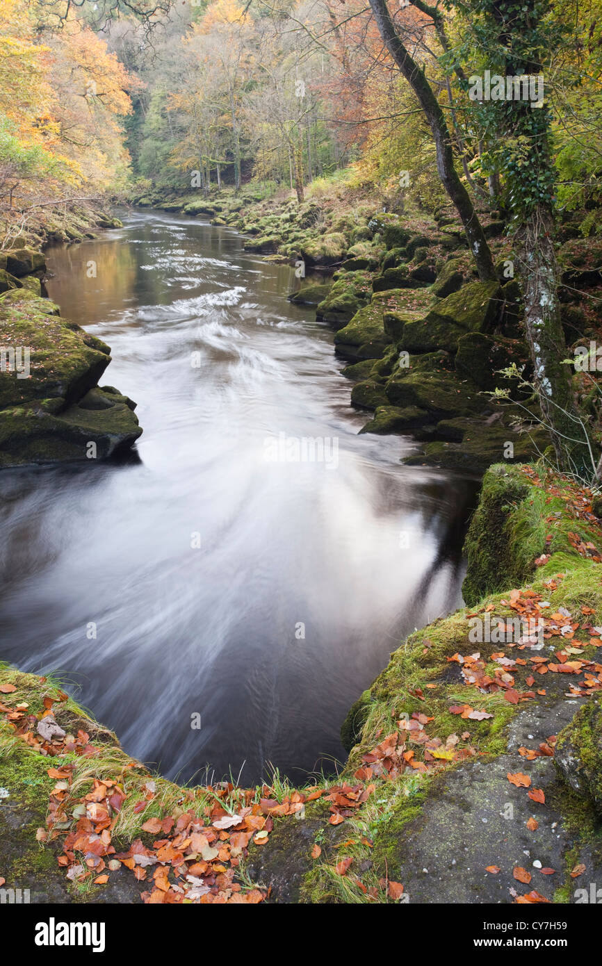 The Strid, part of the River Wharfe Stock Photo - Alamy