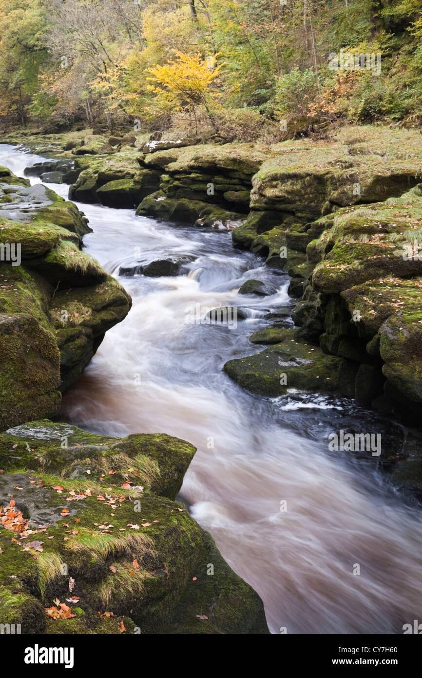 The Strid, part of the River Wharfe Stock Photo - Alamy