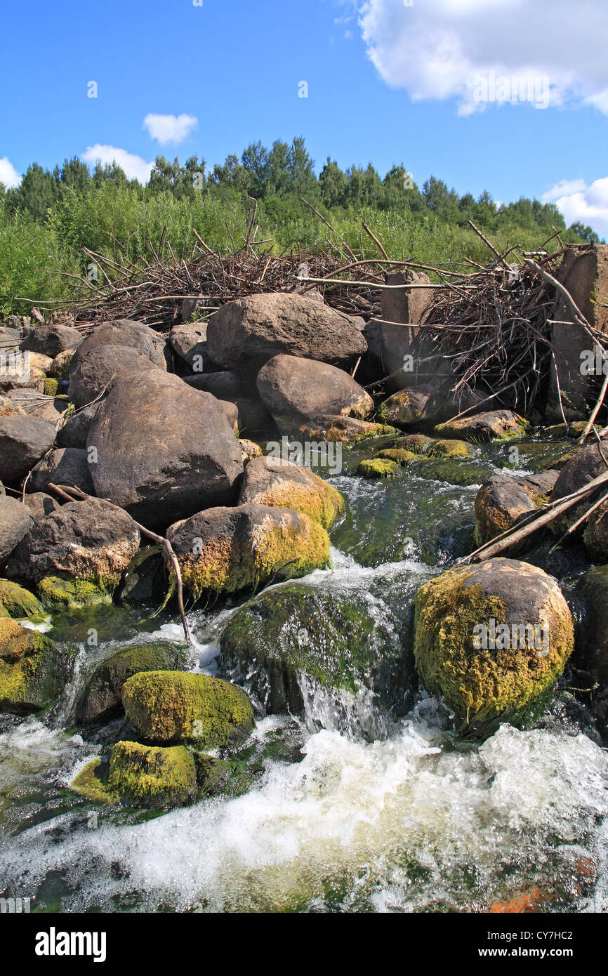 quick river flow amongst stone Stock Photo - Alamy