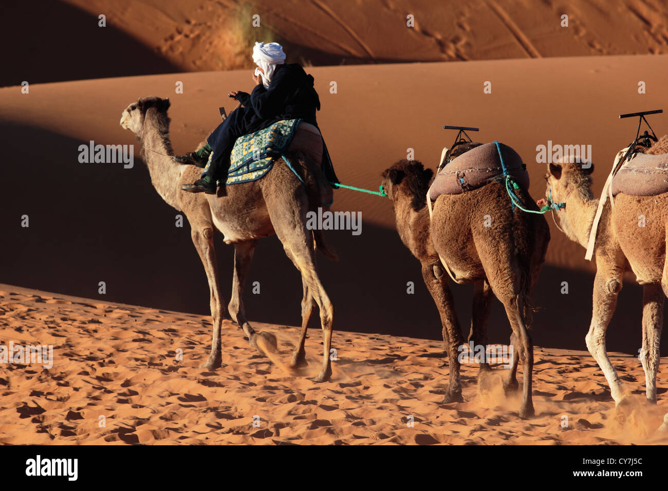 Riding camels sahara hi-res stock photography and images - Alamy