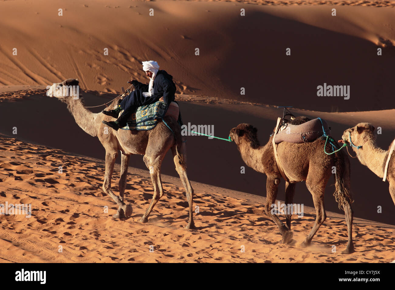Sahara camel rider hi-res stock photography and images - Alamy