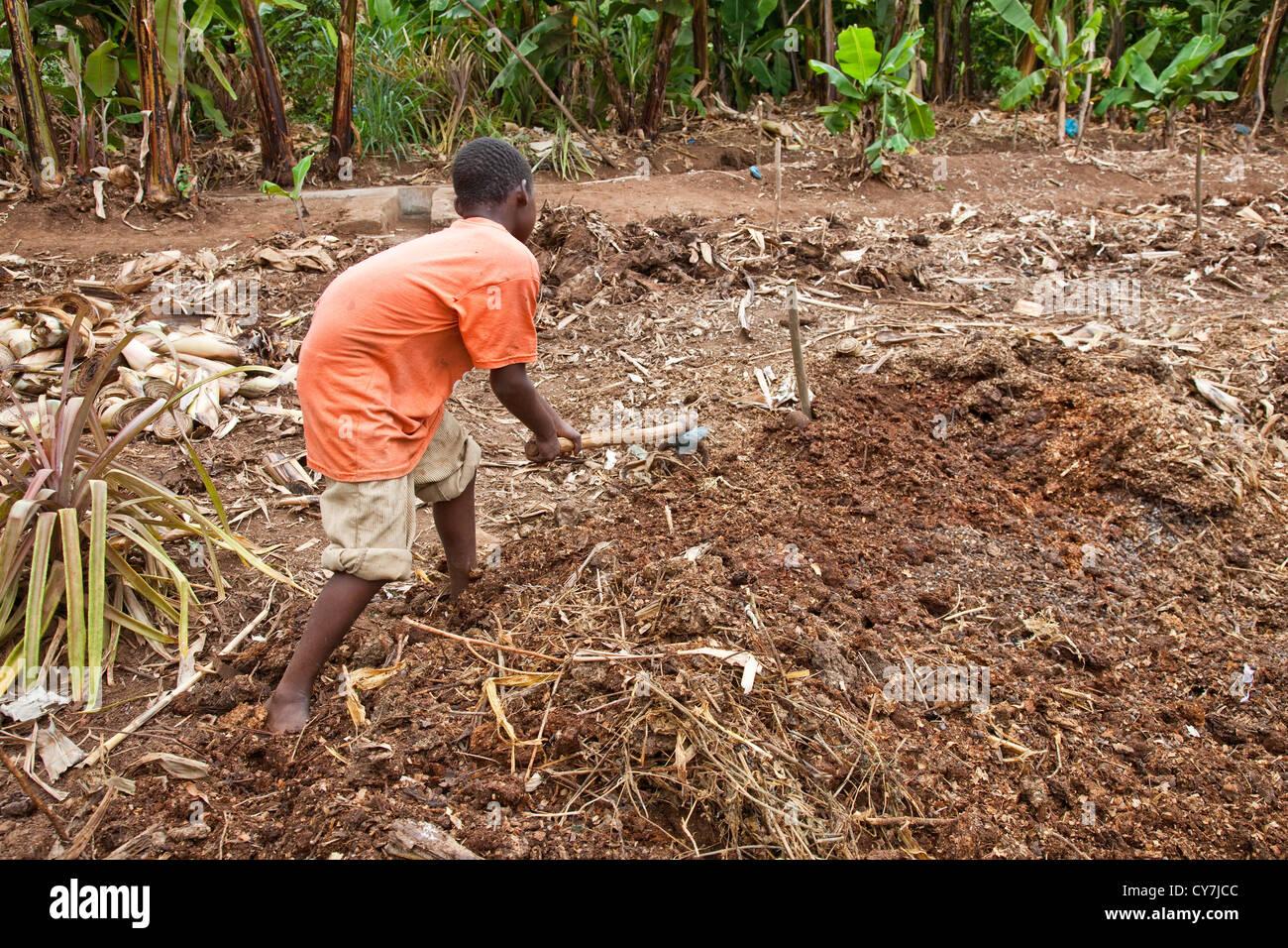 Young 12 year old boy is working the soil on his father farm near Moshi ...