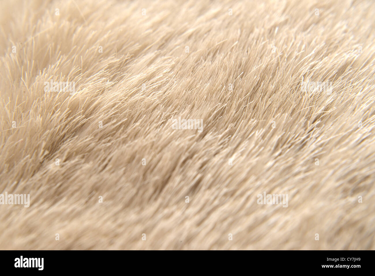 Animal hide skin hi-res stock photography and images - Alamy