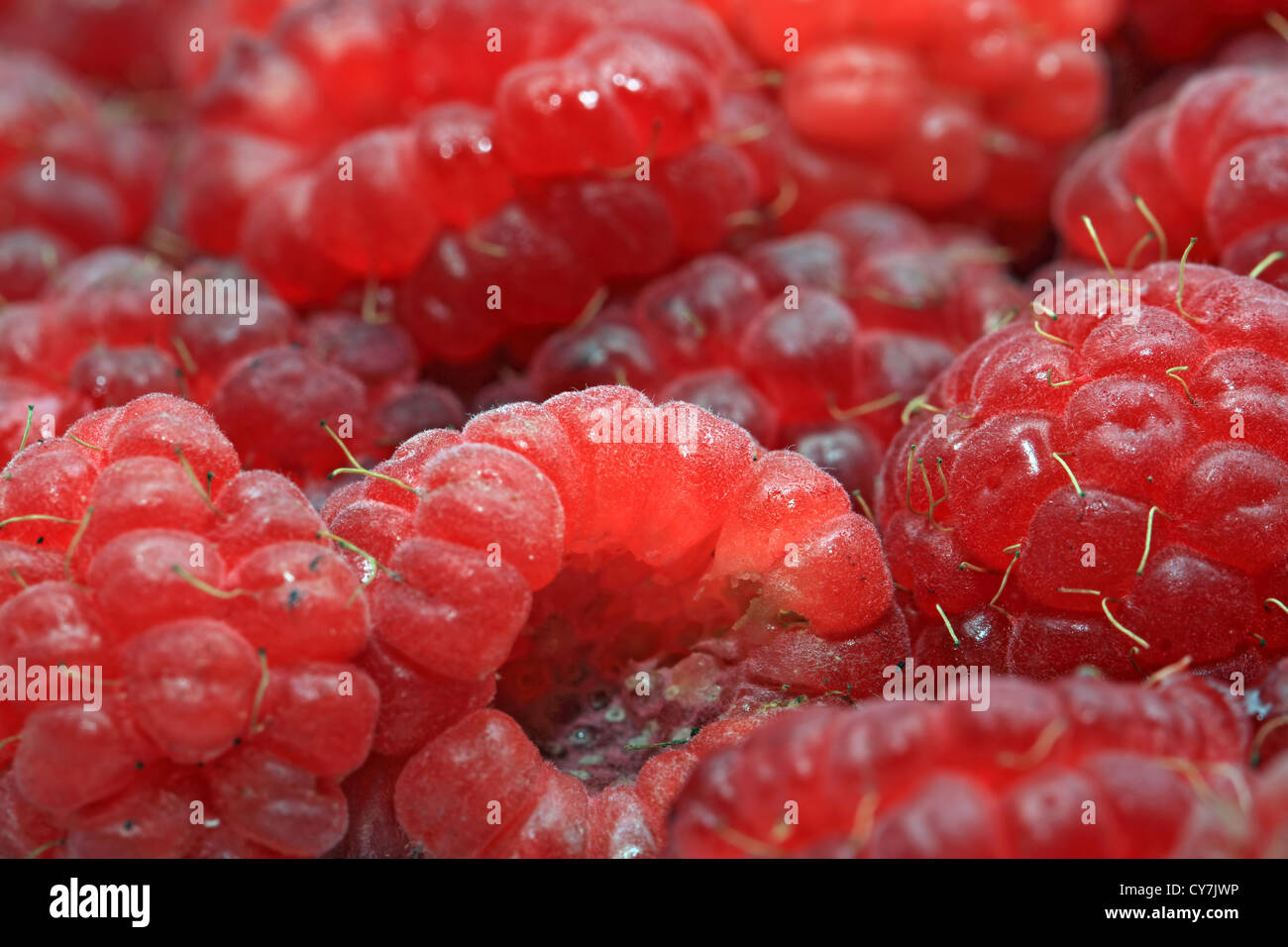 red ripe raspberry Stock Photo - Alamy