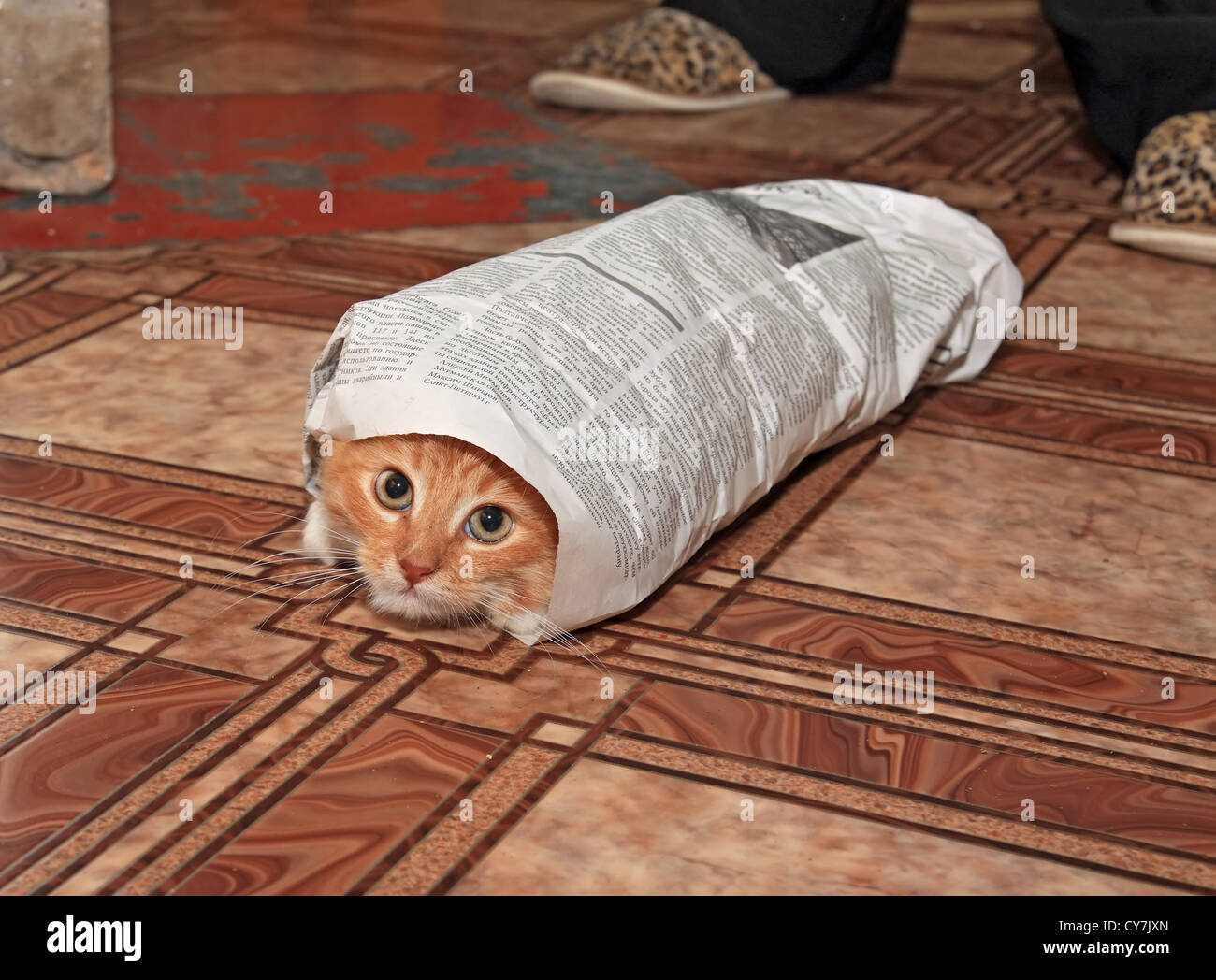 Newspaper Cut Out High Resolution Stock Photography and Images - Alamy