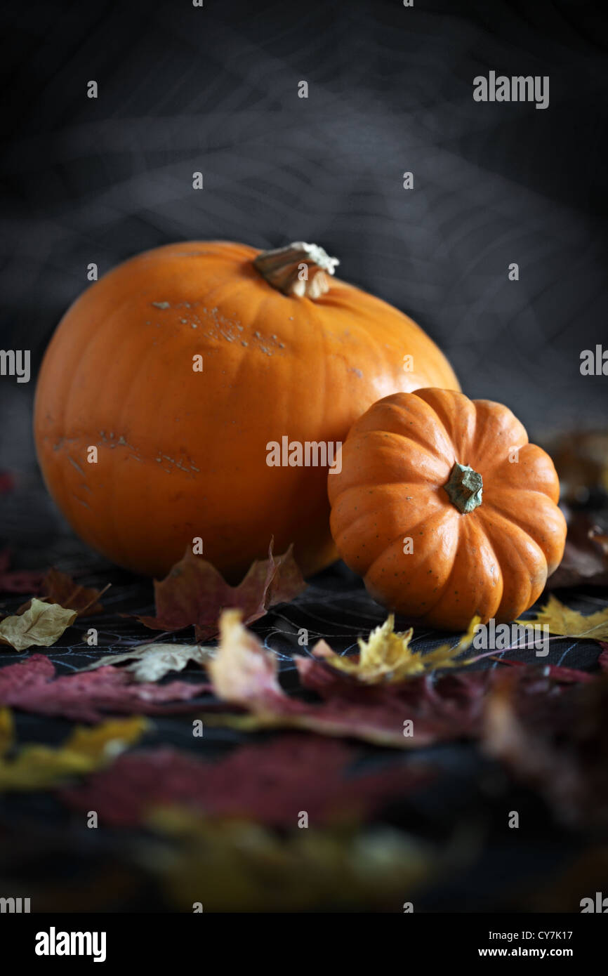 Ghoul cemetery hi-res stock photography and images - Alamy