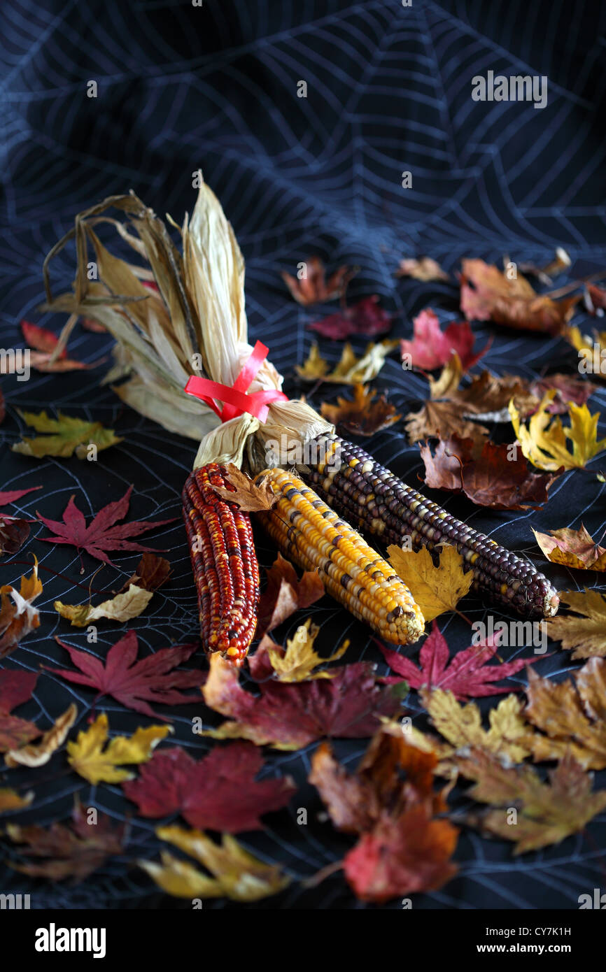 Ghoul Cemetery High Resolution Stock Photography and Images - Alamy