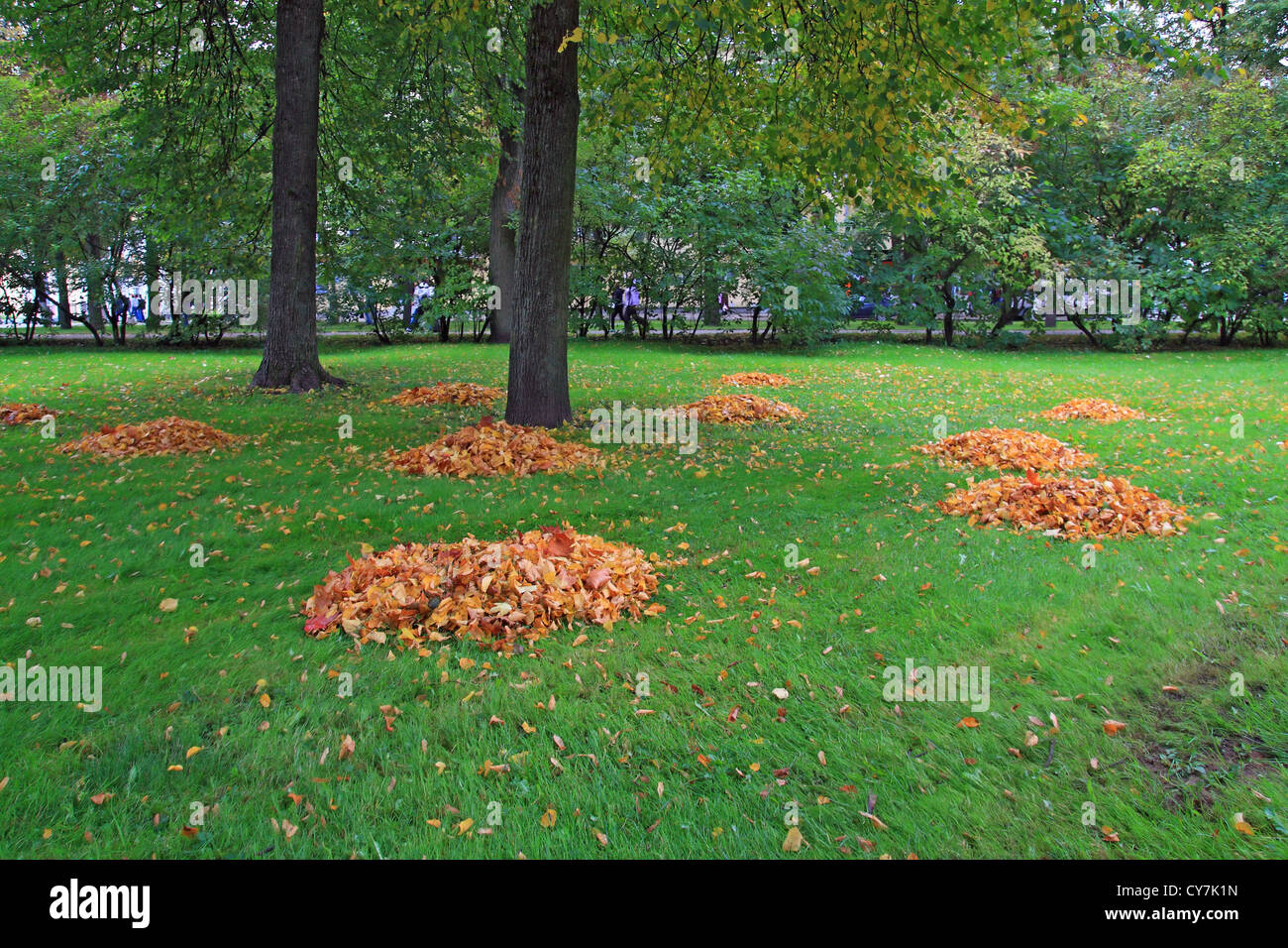 Yellow Sheet In Town Park Stock Photo Alamy yellow-sheet-in-town-park-stock-photo-alamy