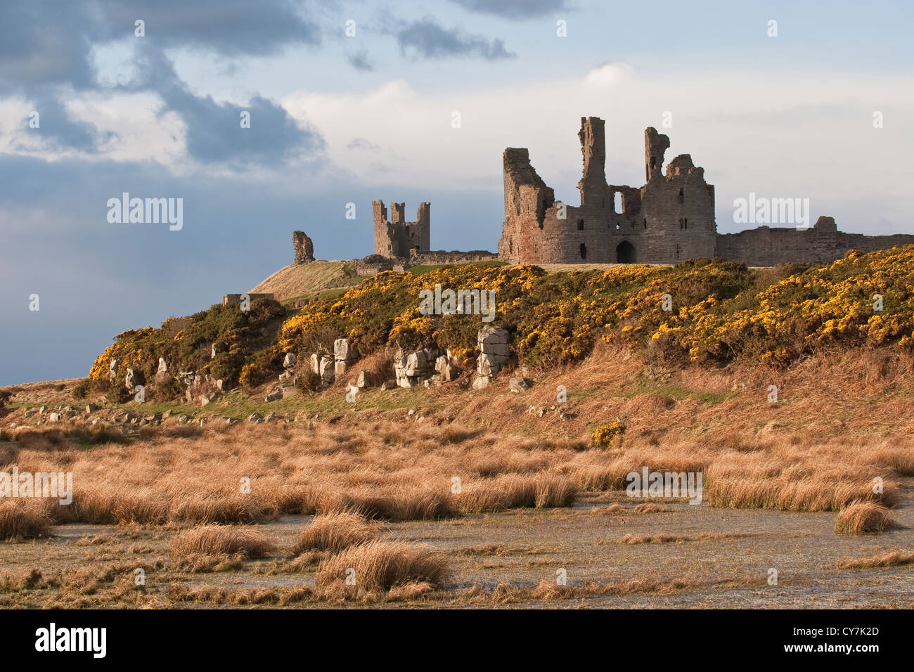 Dunstanburgh Castle at sunset, Northumberland Stock Photo - Alamy