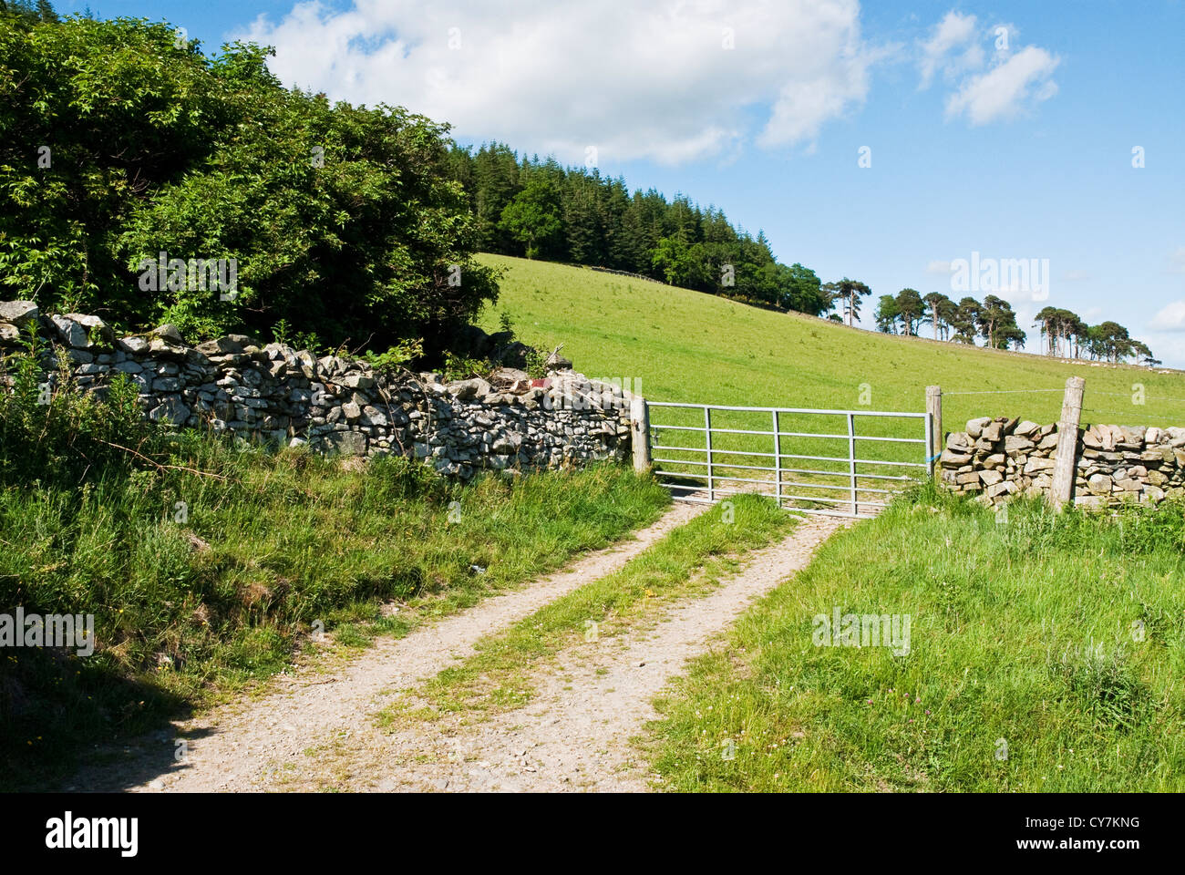Scottish field gate hi-res stock photography and images - Alamy