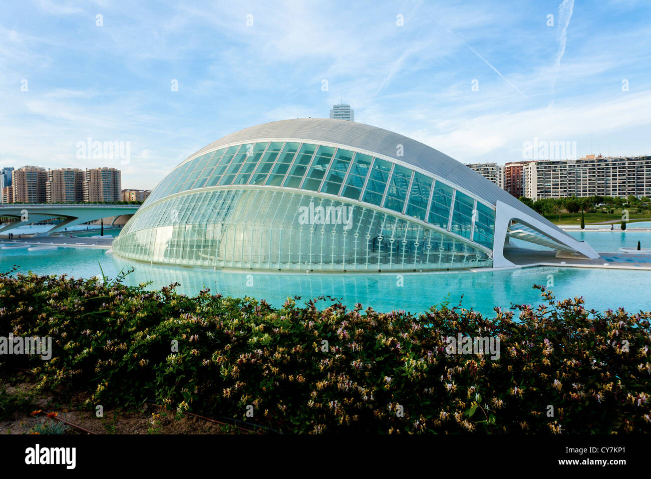 Hemispheric City of Arts and of Sciences Valencia Santiago Calatrava ...