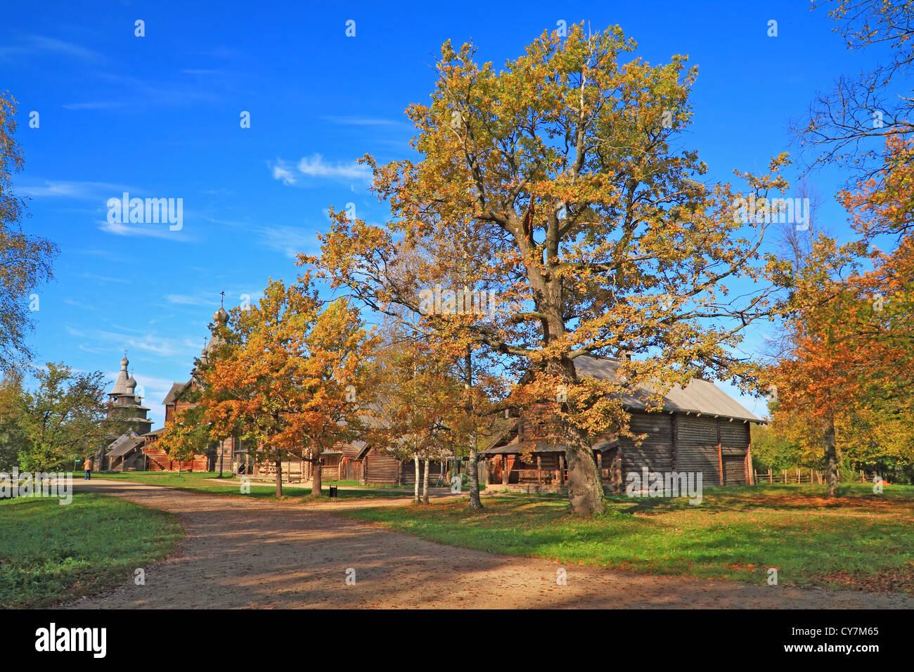 rural street amongst yellow tree Stock Photo - Alamy