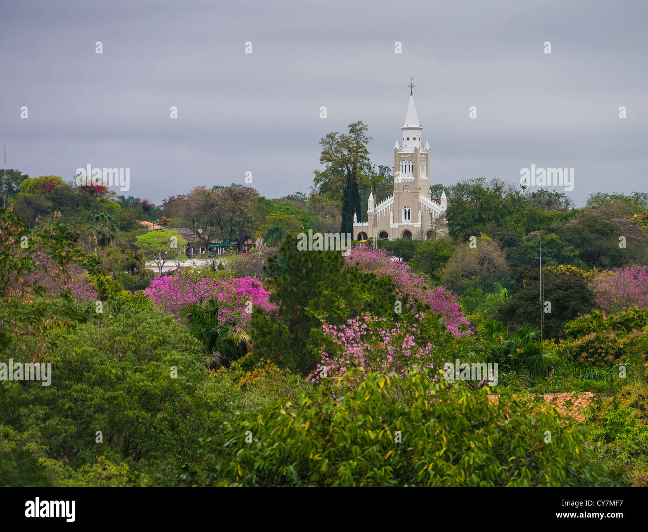 A distant view of the Nuestra Señora de la Candelaria church in Areguá ...
