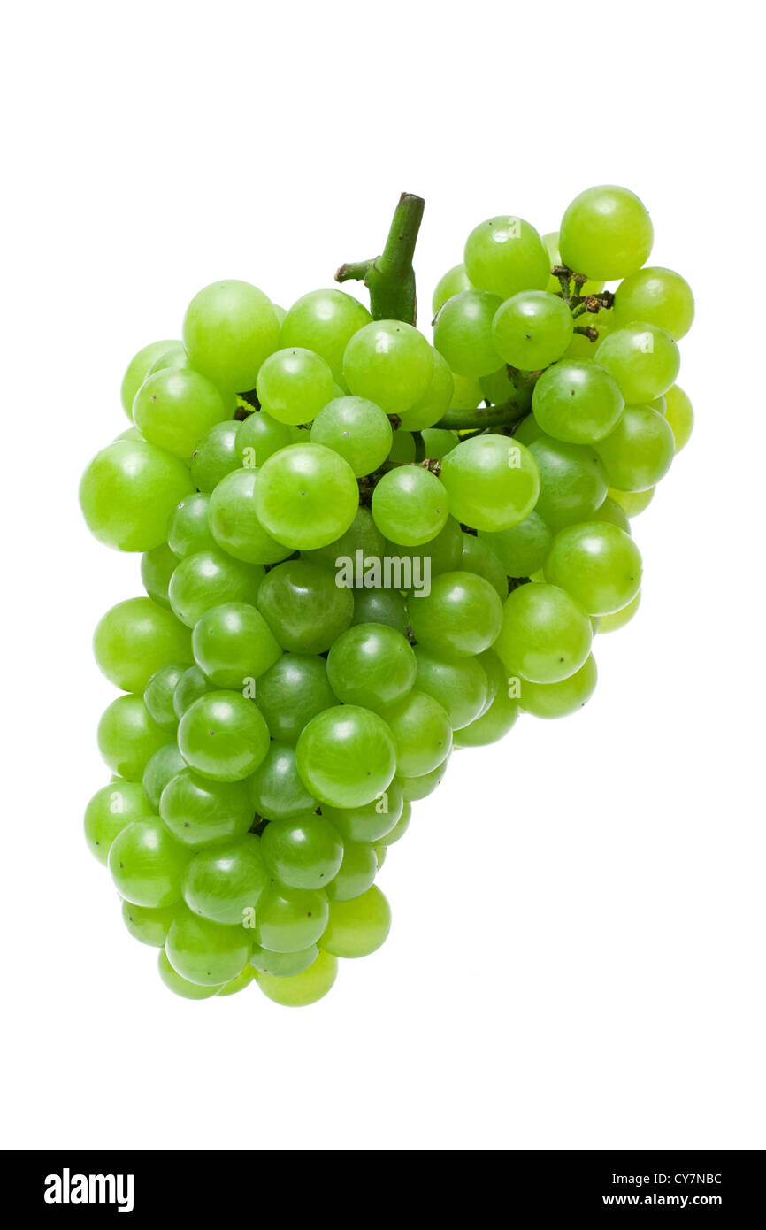 Grape isolated on white background Stock Photo - Alamy