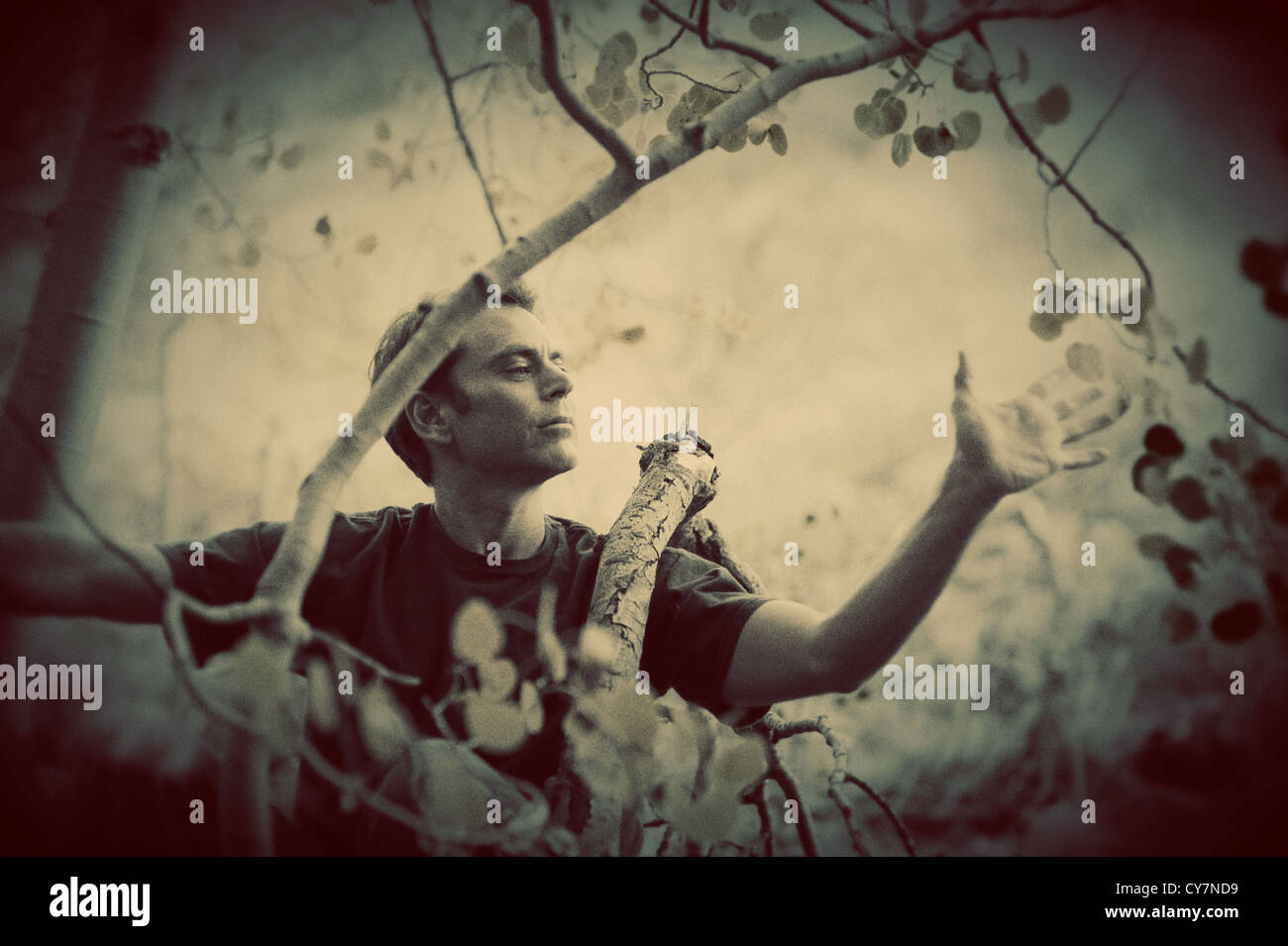 Sensitive man expressing poetic love for nature Stock Photo - Alamy