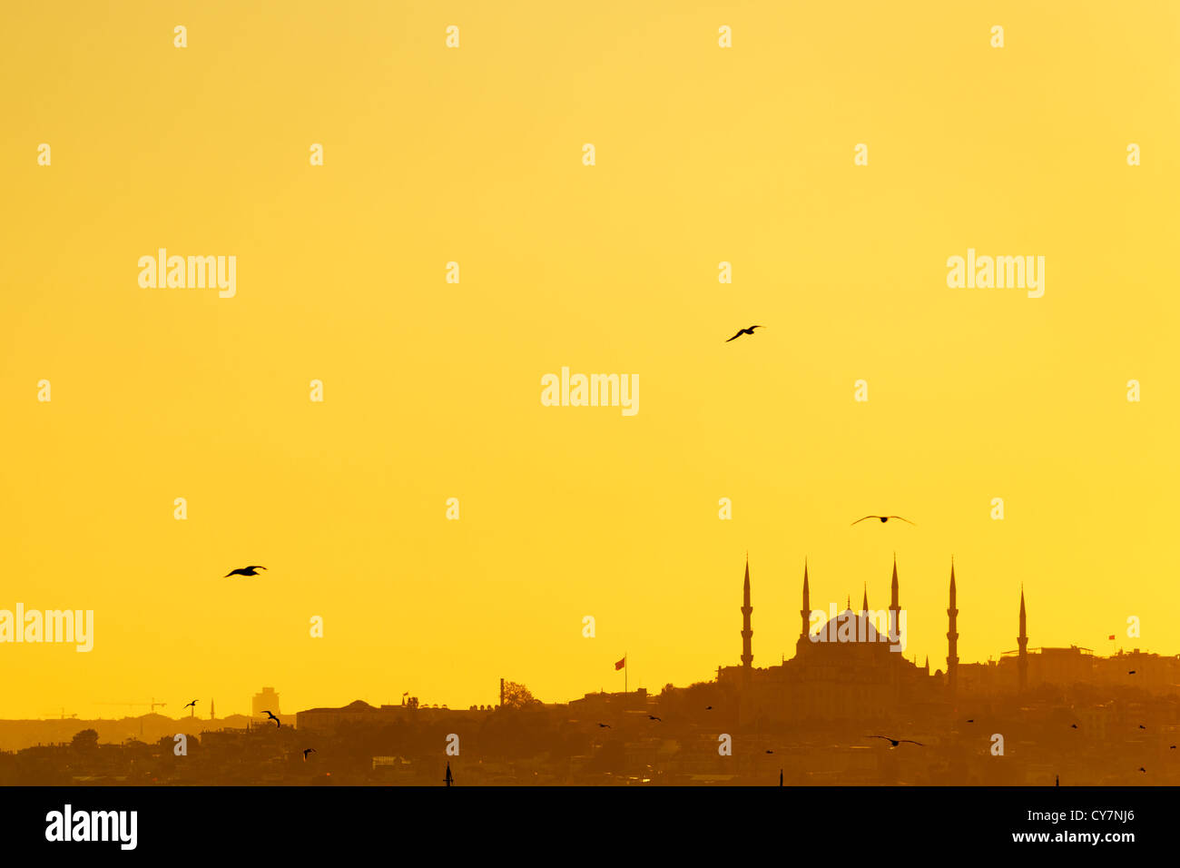 Majestic Mosque at Sunset in the Middle East Stock Photo - Alamy