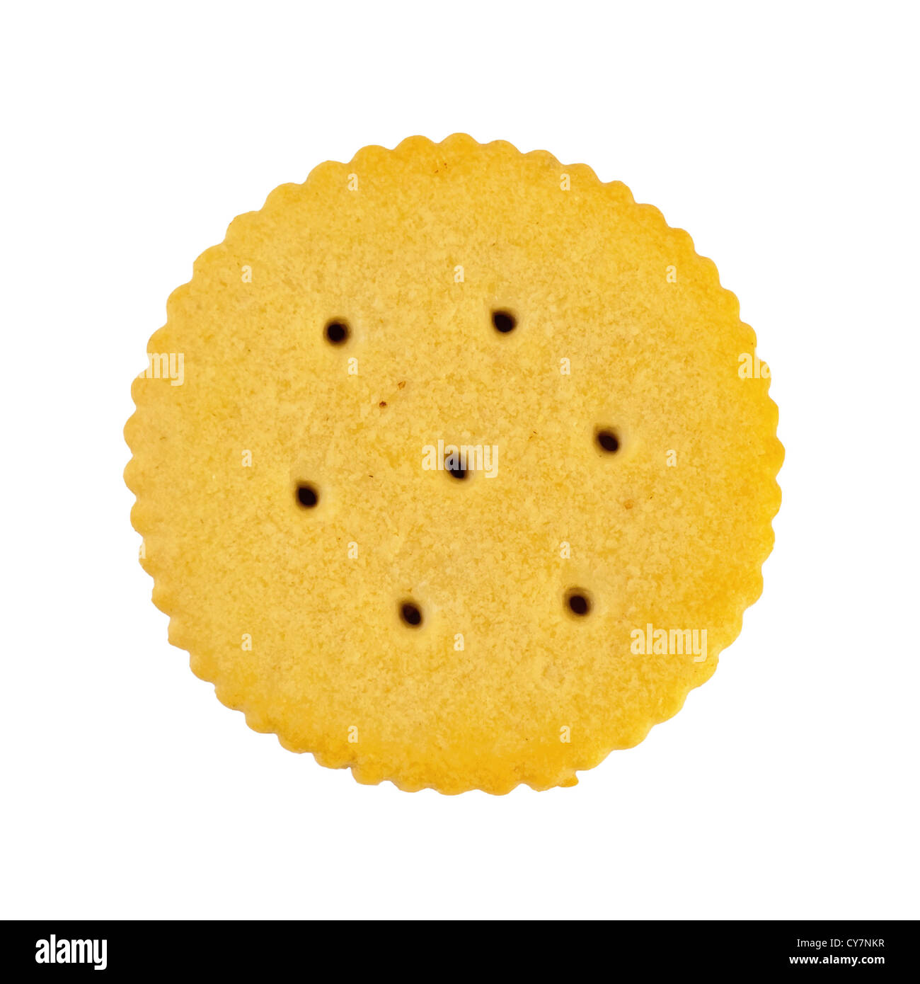 One cracker cookies isolated on white background Stock Photo - Alamy