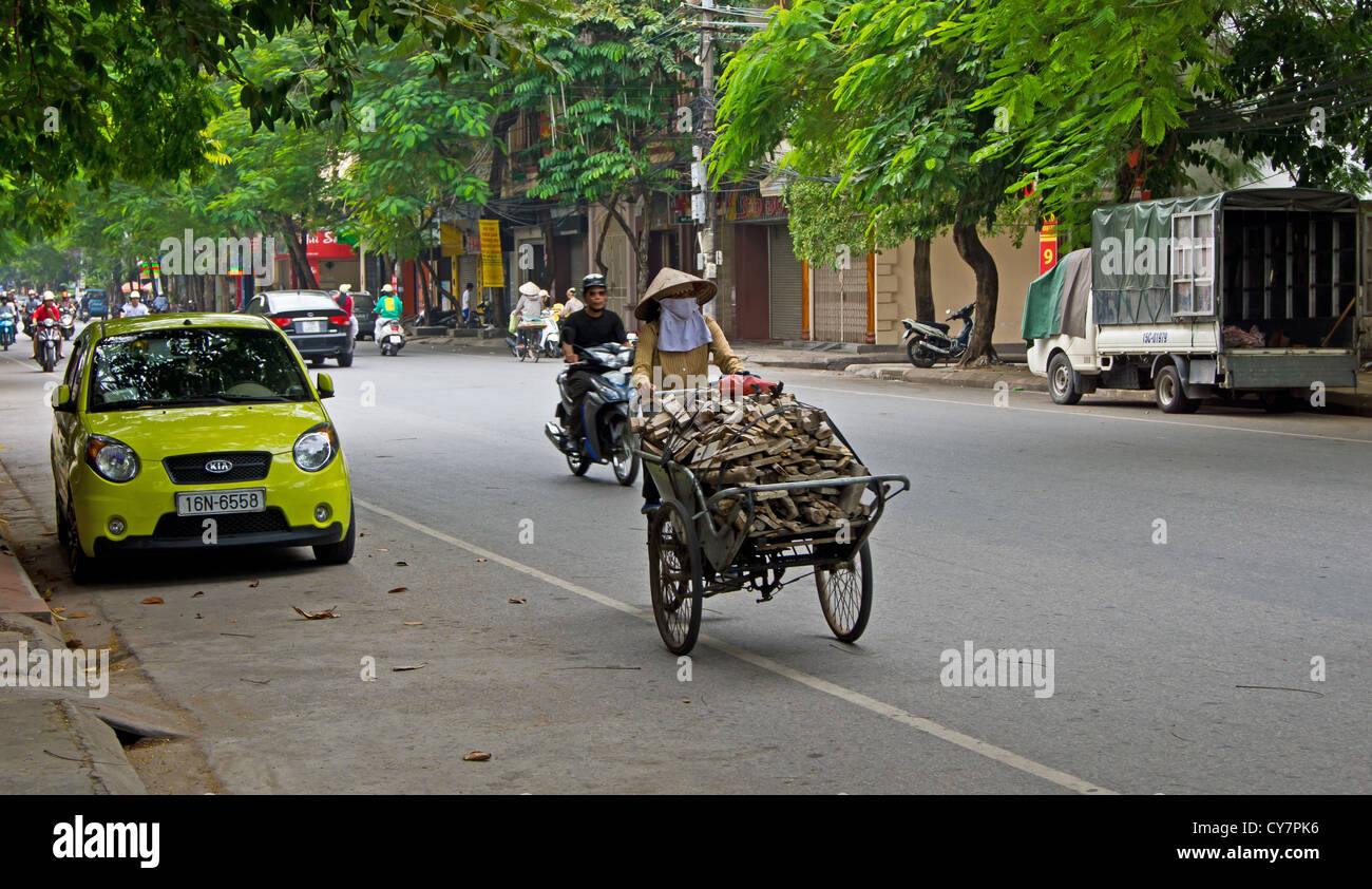 Vietnamese carry wood on bike hi-res stock photography and images - Alamy