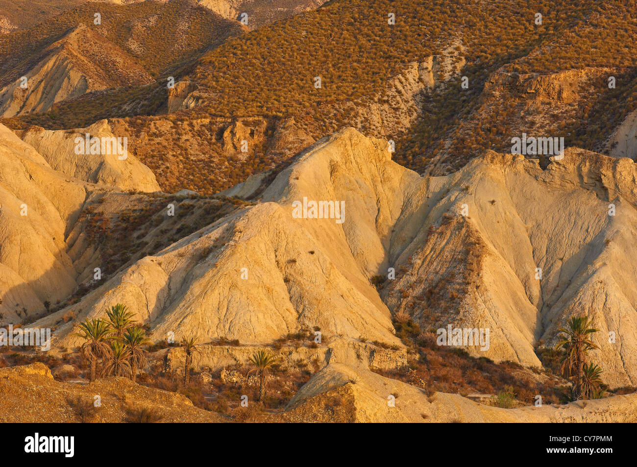Tabernas, Tabernas Desert, Tabernas Desert Natural Park, Almeria ...