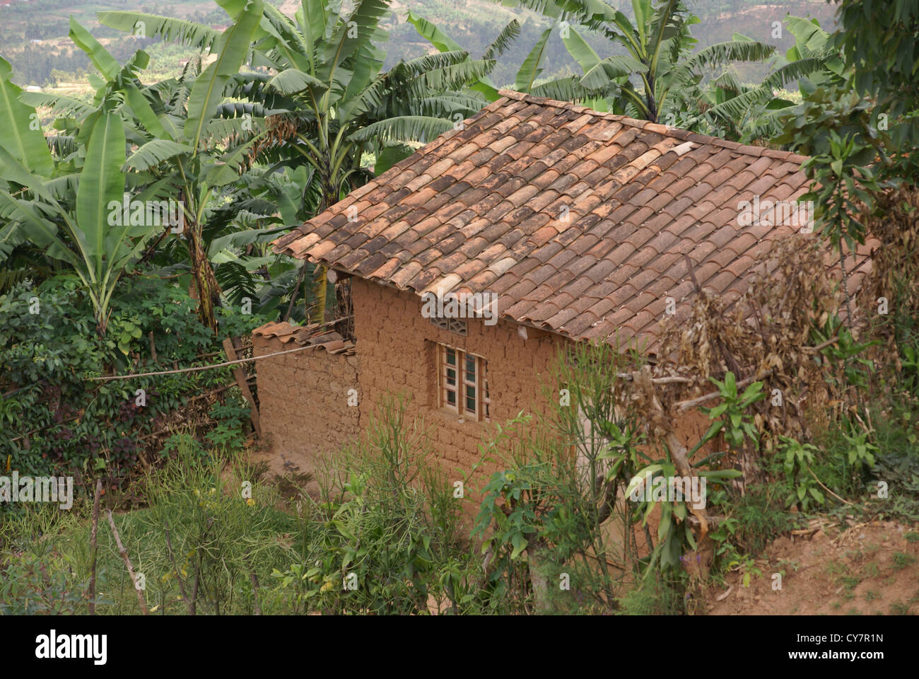 Virunga mountains rwanda hi-res stock photography and images - Alamy