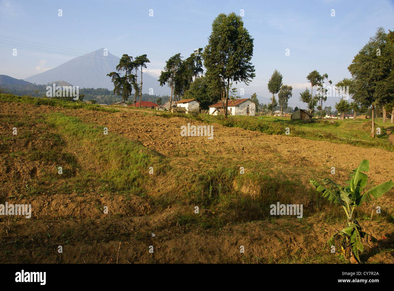 Rwanda, Volcanoes National Park (Parc National des Volcans Stock Photo ...