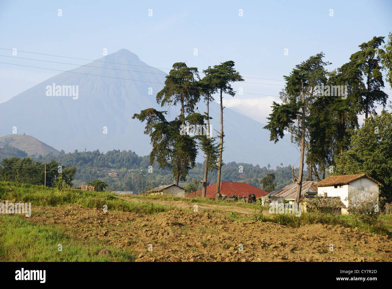 Rwanda, Volcanoes National Park (Parc National des Volcans Stock Photo ...
