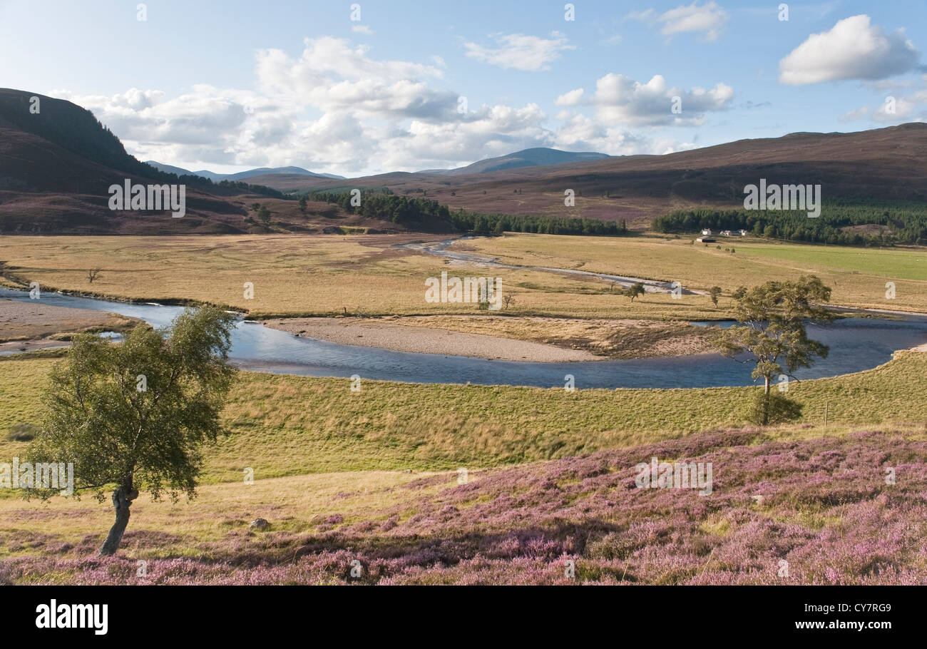 Meandering Dee river in upper valley near Braemar, Grampian Mountains ...