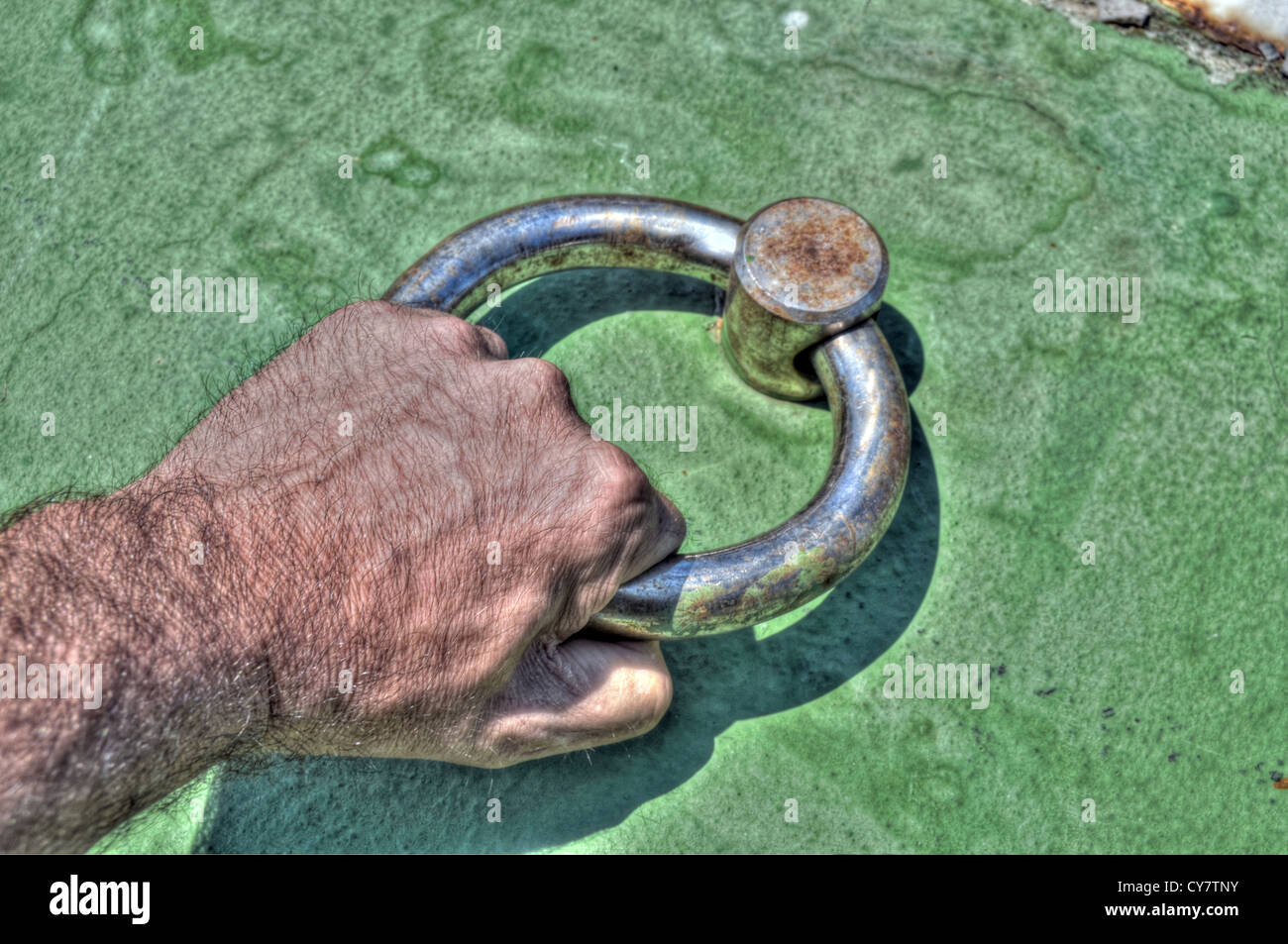 Clinging to a support Stock Photo - Alamy