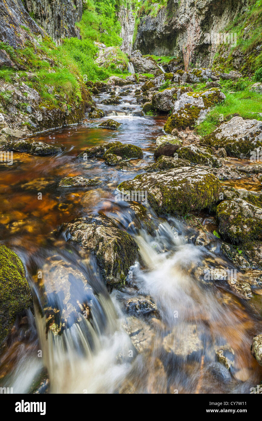 Trollers Gill limestone gorge, near Appletreewick in the Yorkshire ...