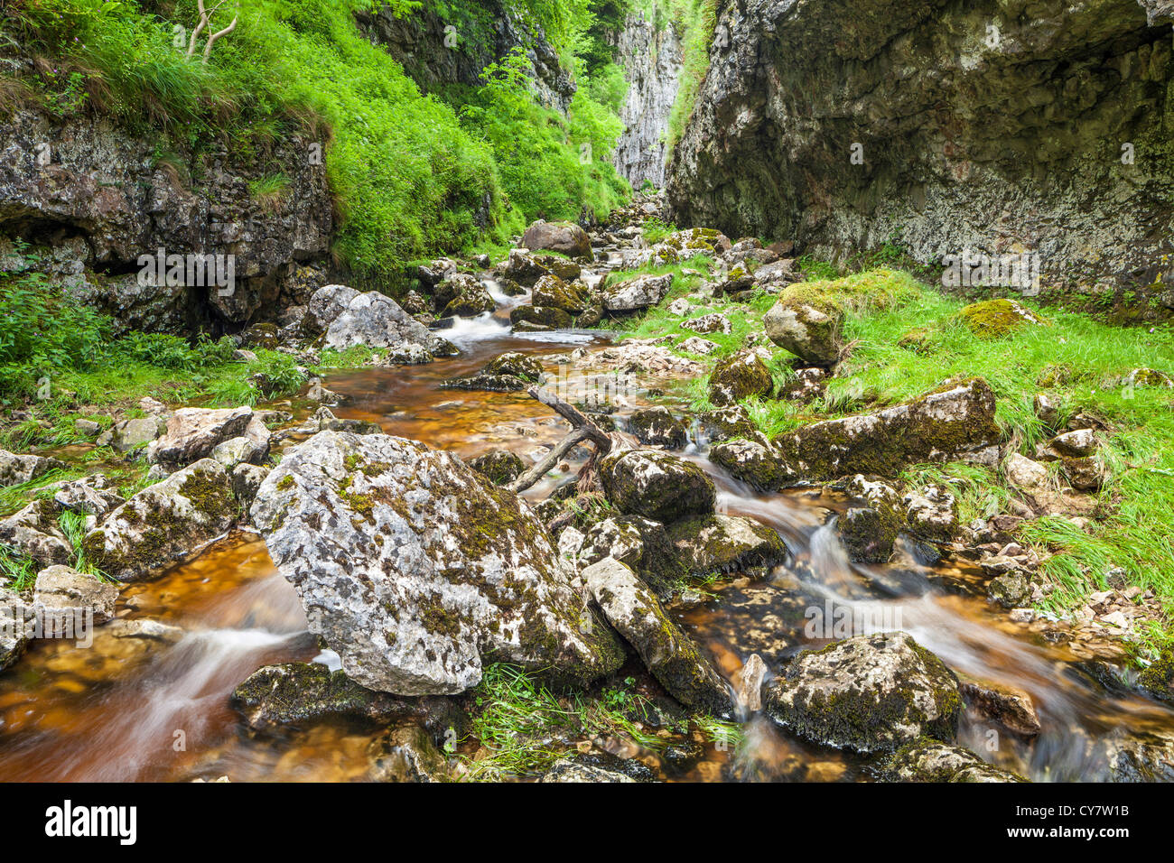 Trollers Gill limestone gorge, near Appletreewick in the Yorkshire ...