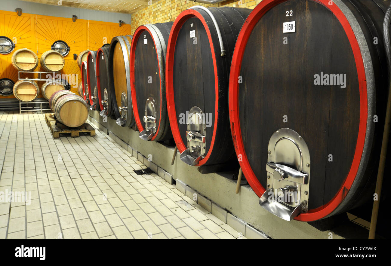 Wine cellar with huge barrels and barrique barrels Stock Photo - Alamy