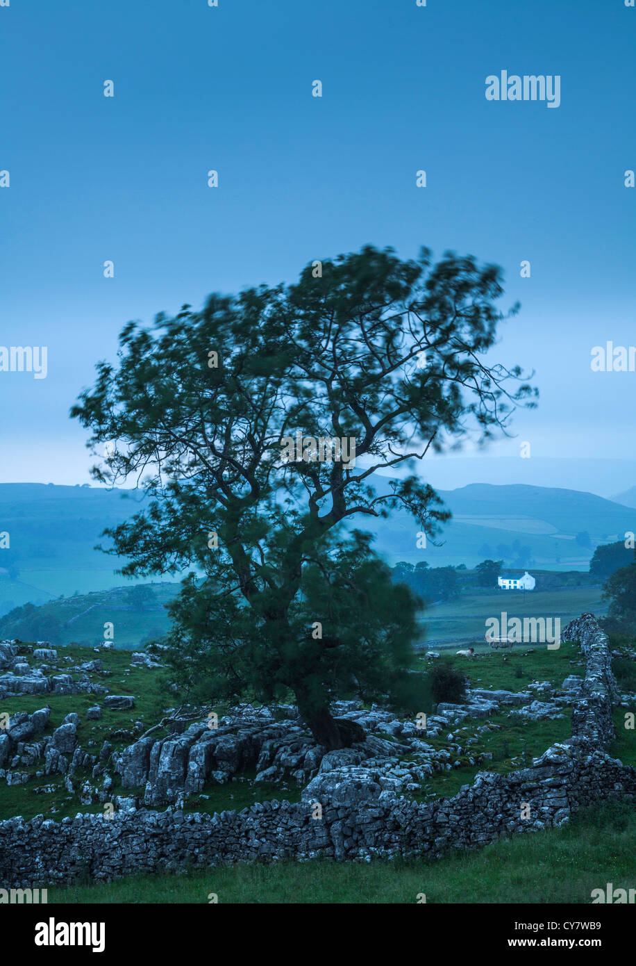 Winskill cottage hi-res stock photography and images - Alamy