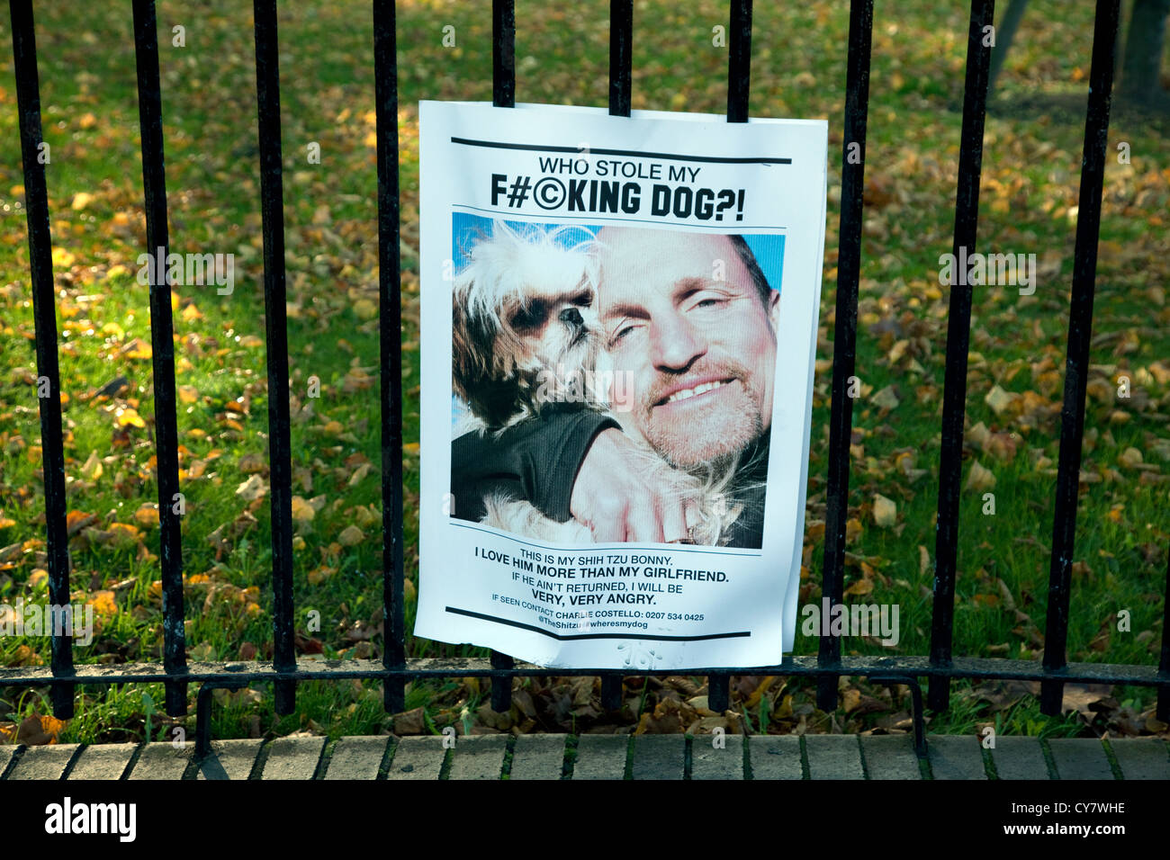 Poster for missing dog on London park railings - Who Stole My F**cking ...