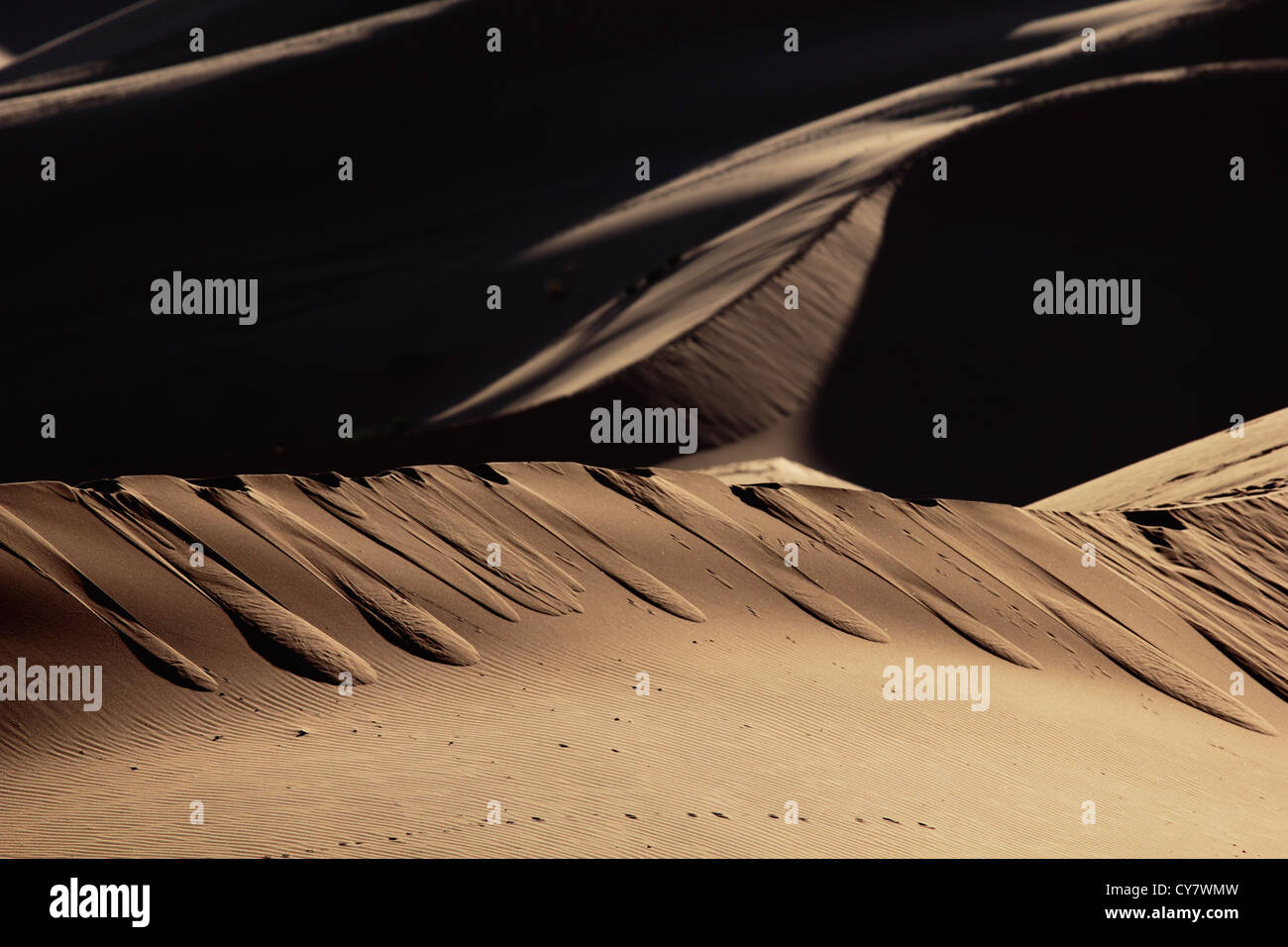 Saharan sand dunes Stock Photo - Alamy