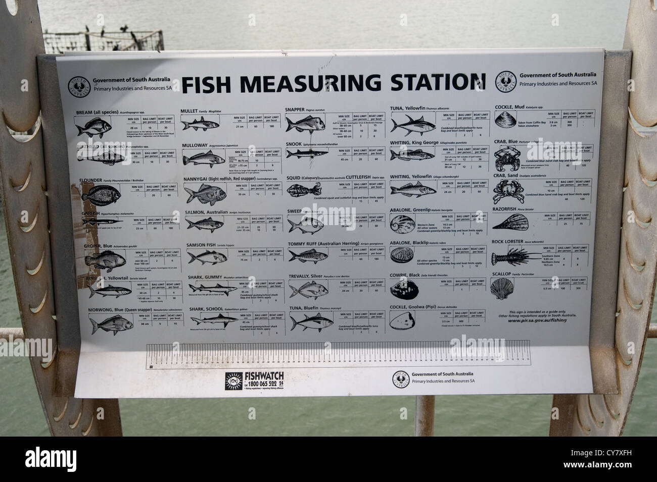 Fish identification chart hi-res stock photography and images - Alamy