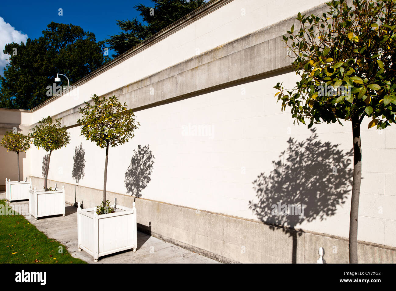 plant tree pots wall Stock Photo - Alamy