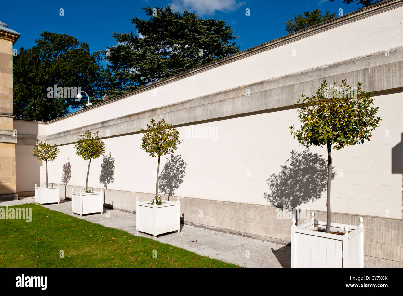 plant tree pots wall Stock Photo - Alamy